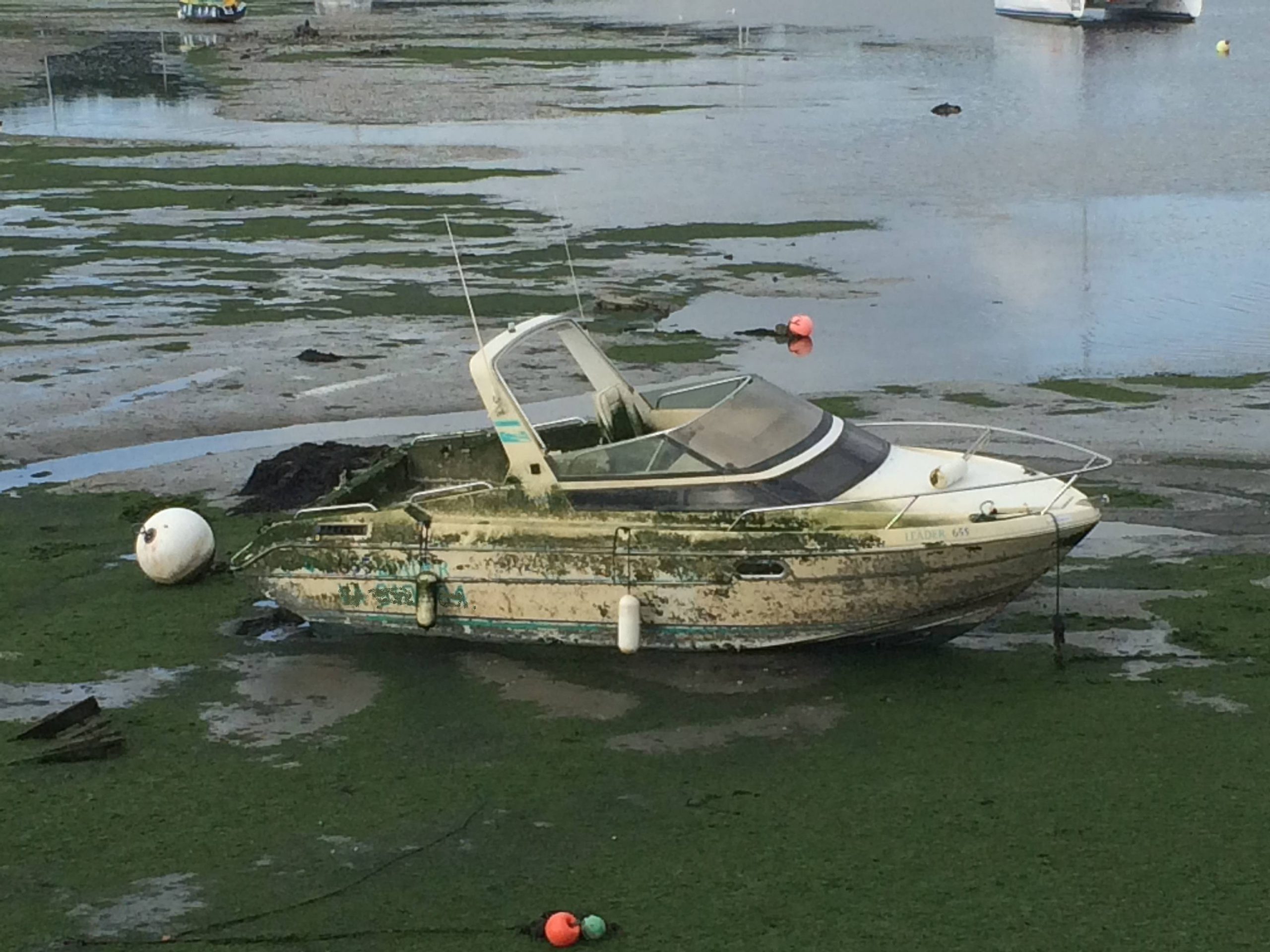 Décret du 23 avril 2015 relatif aux mesures nécessaires pour mettre fin ...